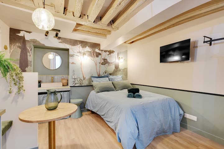 Cozy Studio In Le Marais - Fully Equipped - Le Marais