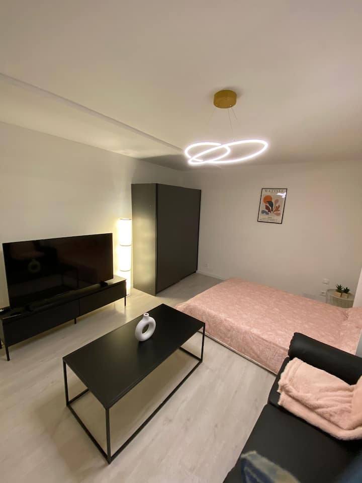 T2 Cosy Et éQuipé, Centre D'albi - Albi