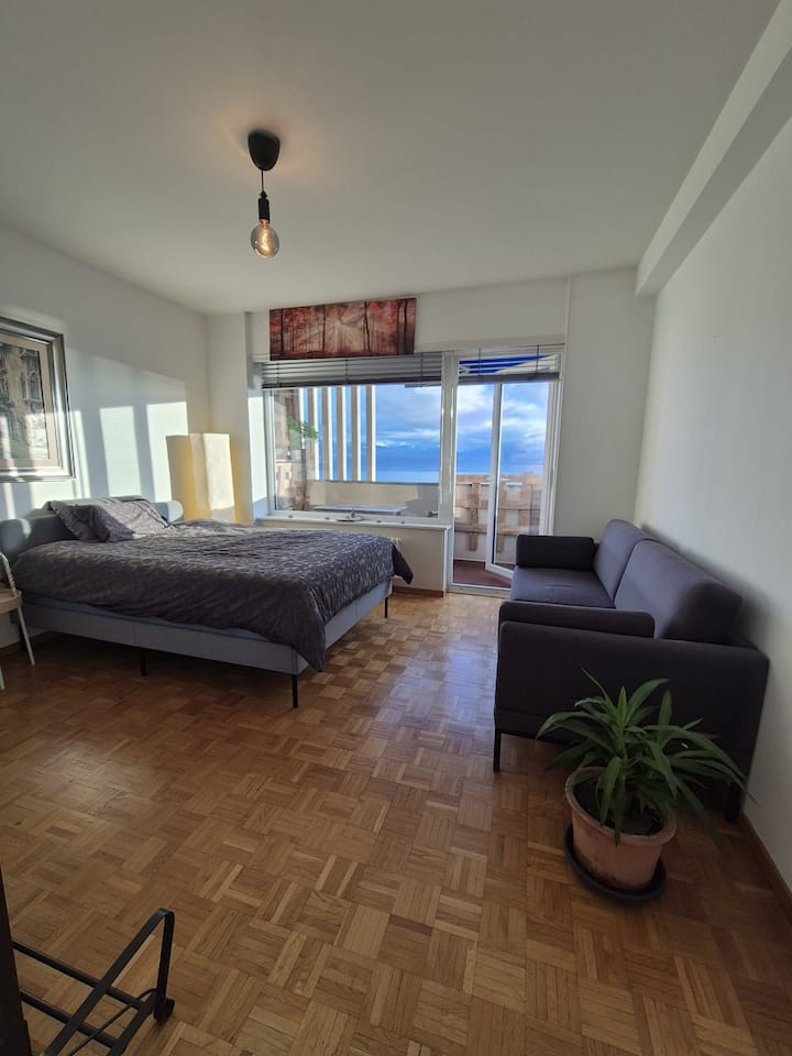 Chambre Et Balcon Vue Imprenable - Lausanne