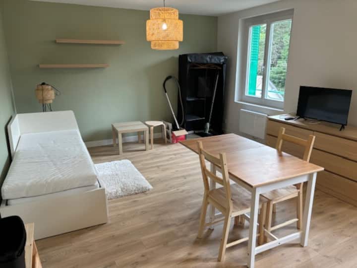 Studio Agréable Pour Randonneurs - Saint-Nectaire