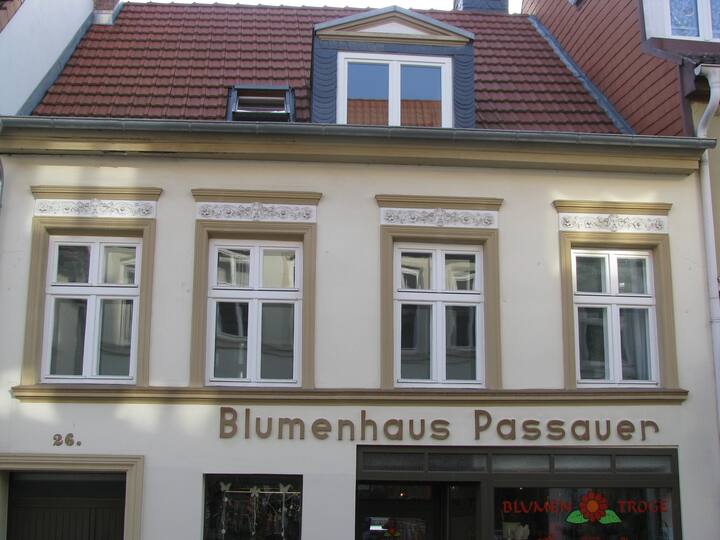 Ferienwohnung Mitten In Der City - Greifswald