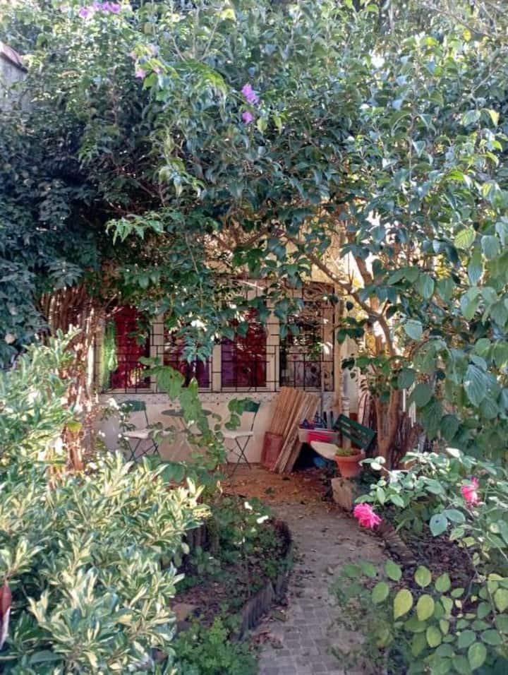 Les Muguets - Chambres - Montpellier
