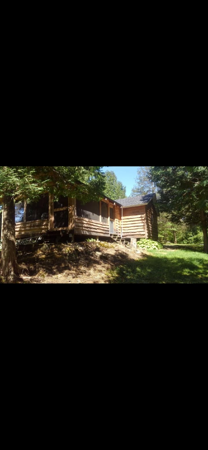 The Cabin On Fish Creek - Hammond, NY