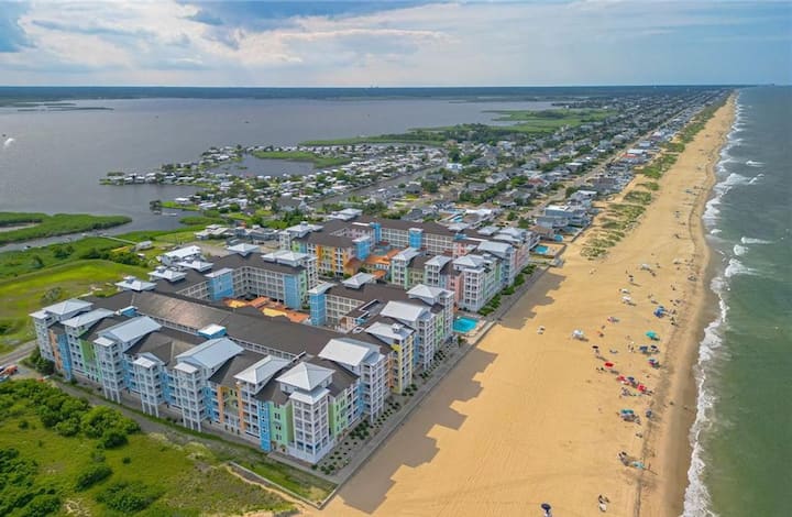 New! 3bd 3bth Oceanfront / Pool - Virginia Beach, VA