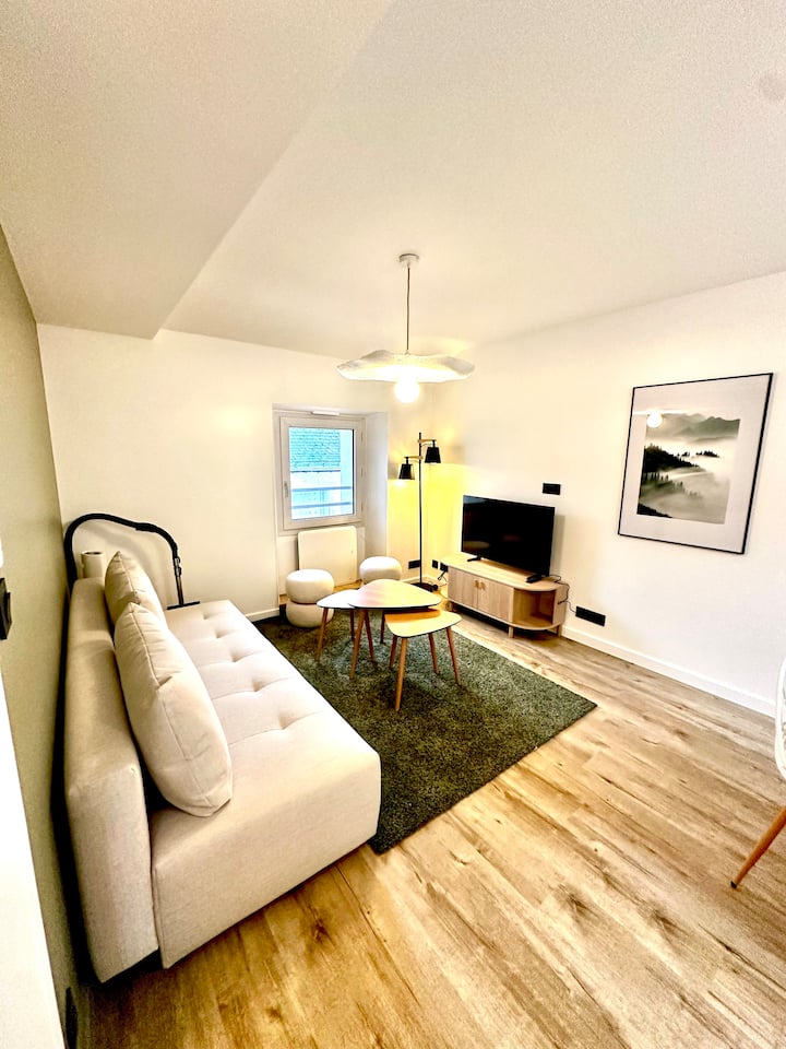 Le Cocon - Studio Chaleureux - ibis budget Cholet Centre