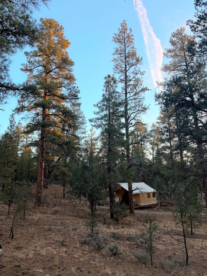 Grand Canyon Glamping - 4 Miles! - Tusayan, AZ