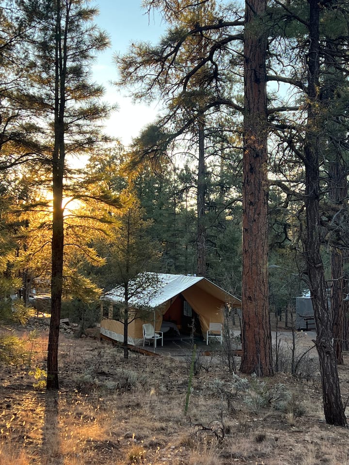 Grand Canyon Glamping - Juniper - Tusayan, AZ