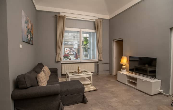 Grand Apartment Near Dancing House - Praga