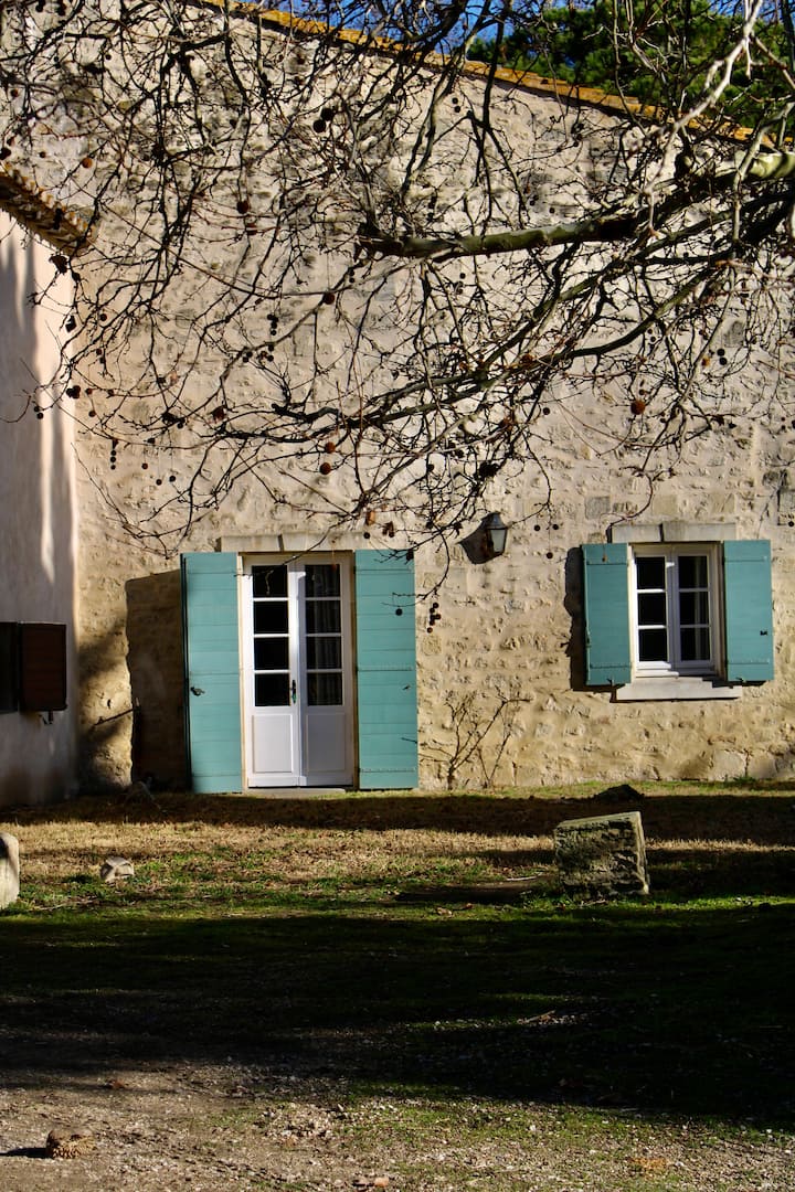 Chambre D'hôtes De Charme - Arles