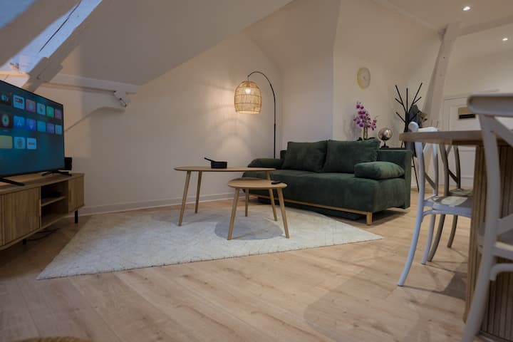Appartement Cosy - Oloron-Sainte-Marie