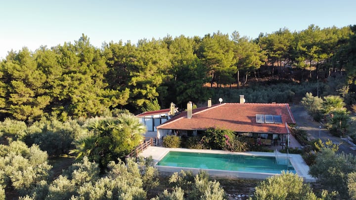 Zeytinlik İçInde Havuzlu Villa - Aydın