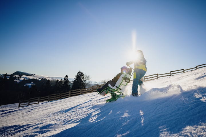 Gîte Adapté Handicaps-le Mont D'or - Métabief