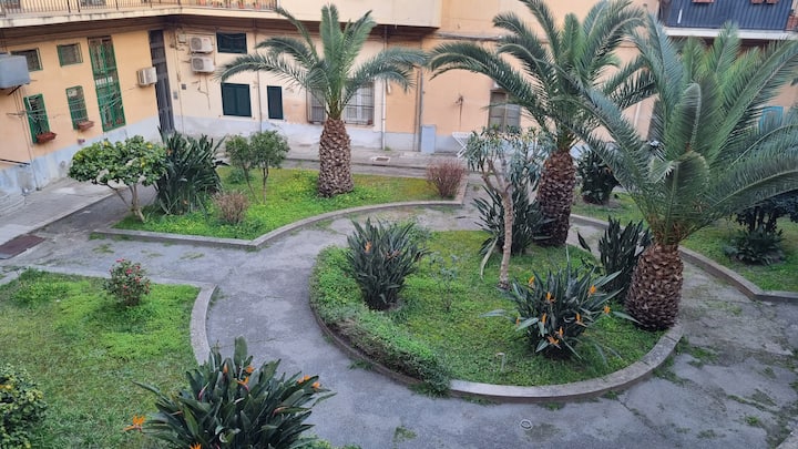 Case Del Dottore (Centonze 223) - Messina