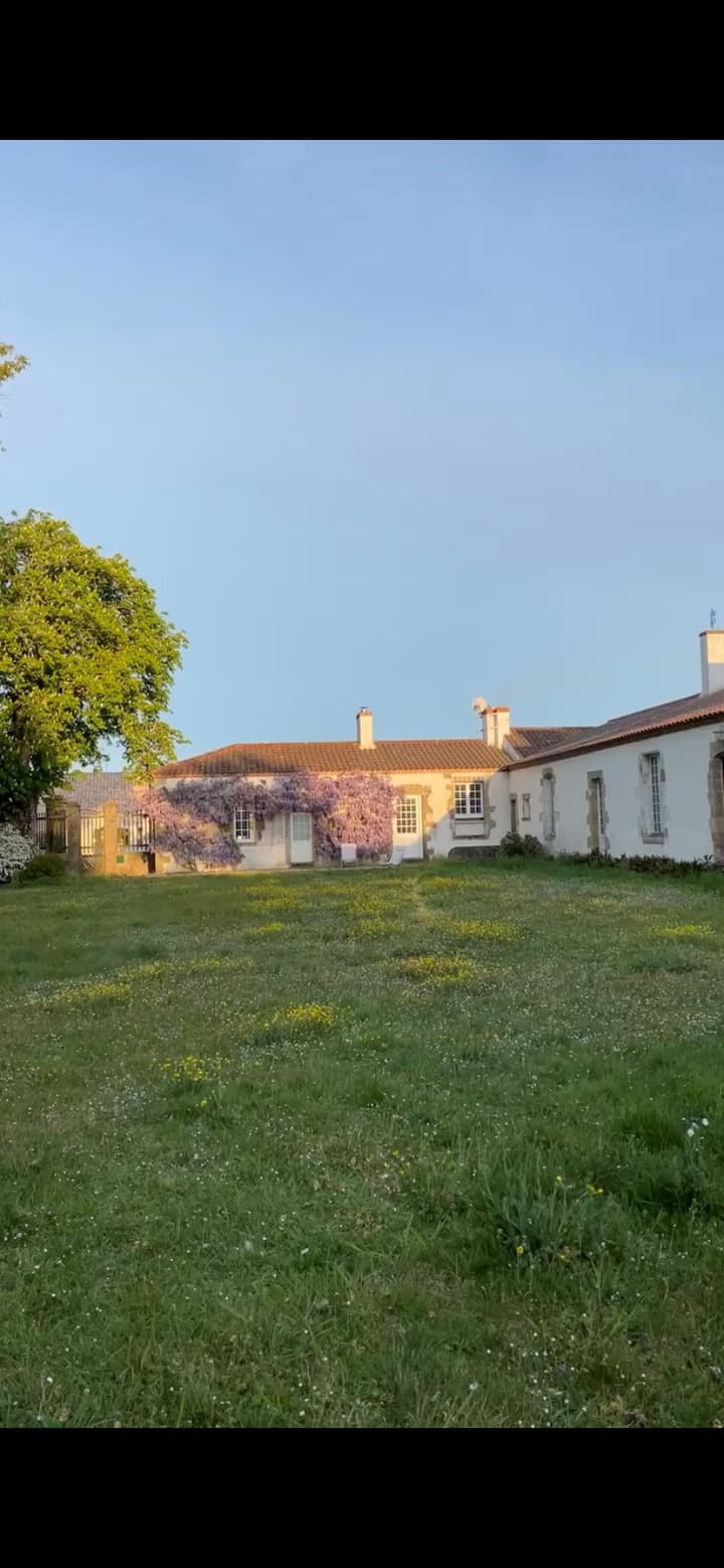 Dans Un Ancien Collège Impérial - Notre-Dame-de-Monts