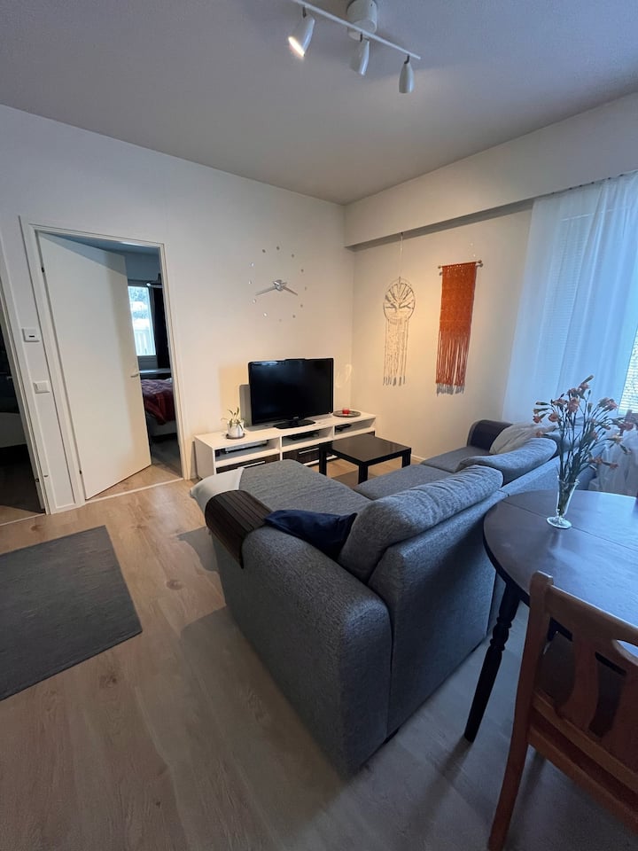 Cozy Cityhome - Sauna & Own Yard - Rovaniemi