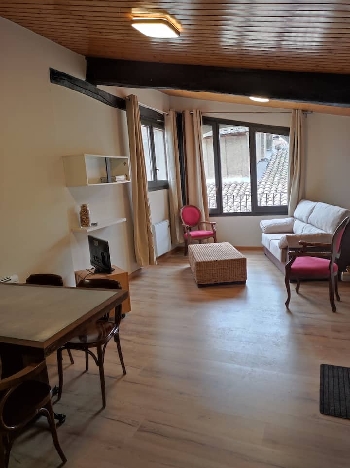 Apt3- ÀTic Acollidor - Vic