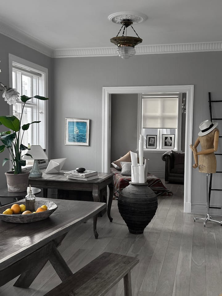 Beautiful Downtown Apartment - レイキャビク