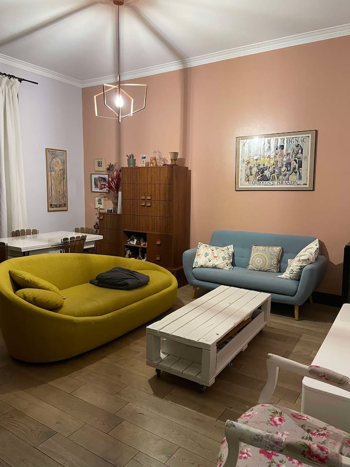 Bel Appartement De Ville; 3 Ch - Perpignan