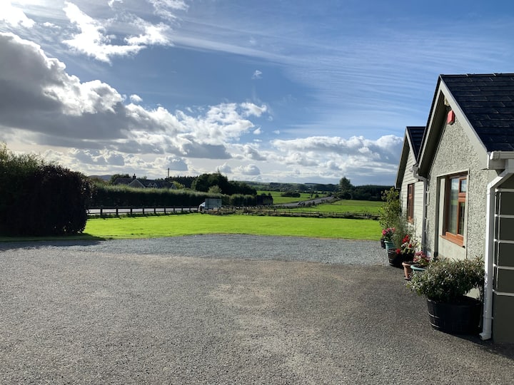 Spacious & Comfy 2 King Bed Apartment Wexford Co - New Ross