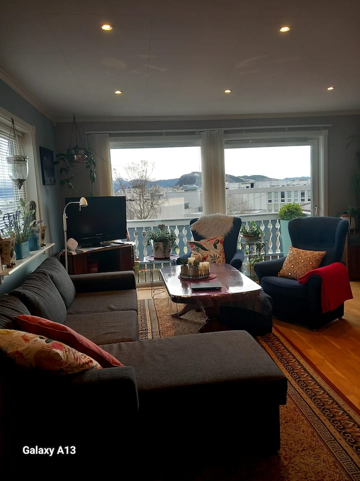 Alesund,  Skarbøvika - Alesund