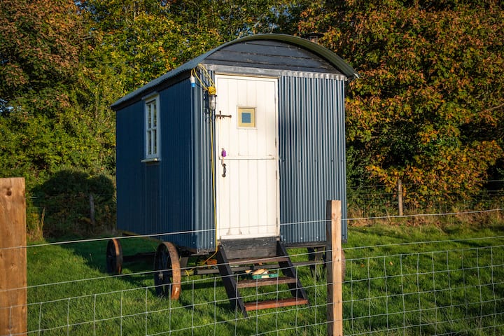 Wicklow Mountains Shepherds Hut - Tree - Irlanda