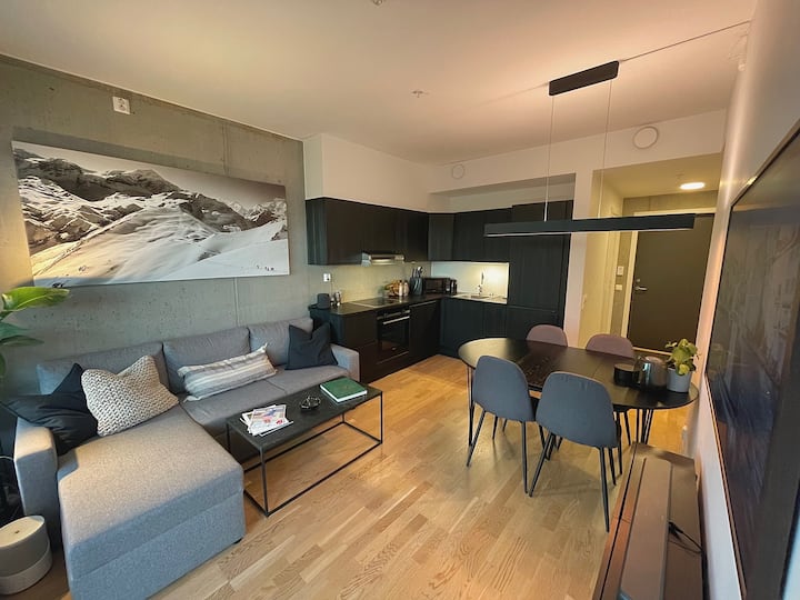 Modern Apartment With Balcony - Trondheim