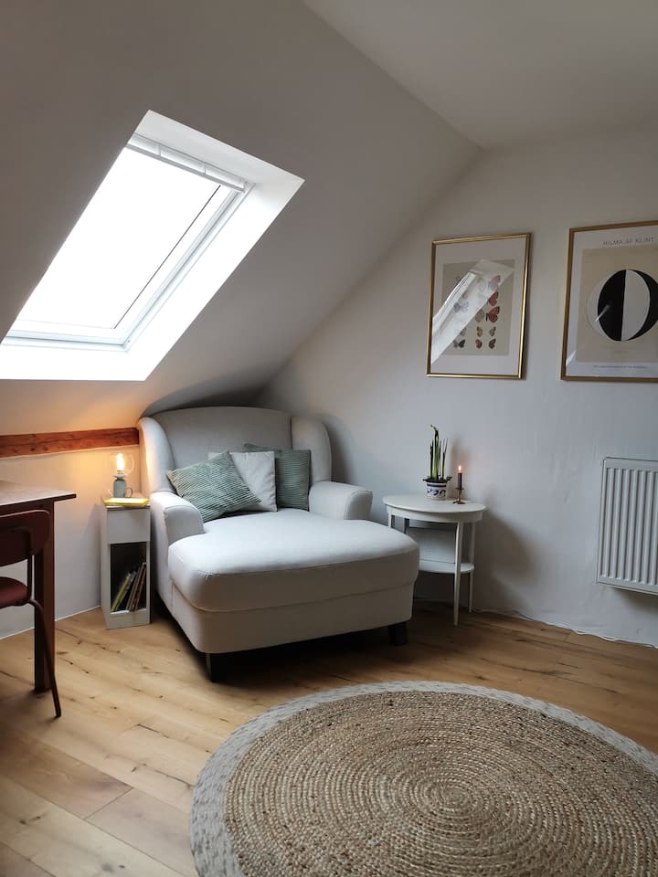 Charmant & Zentral: Wohnung Mit Garten In Lörrach - Lörrach