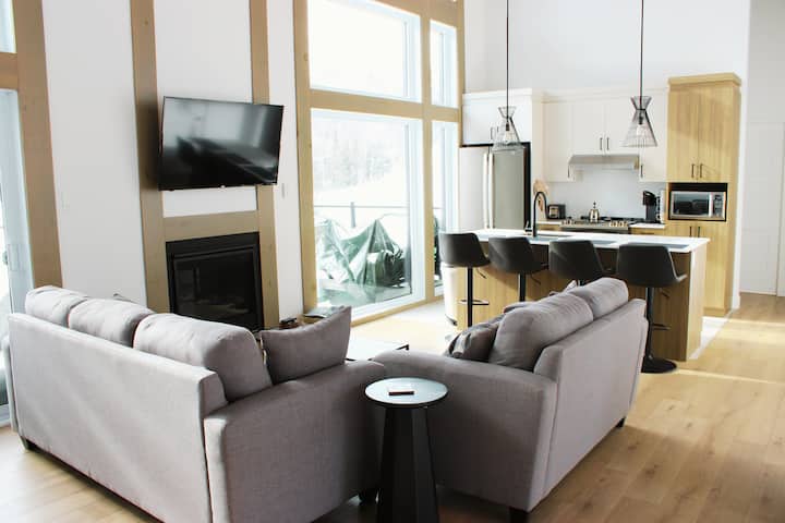 Cozy Ski/ Nature Condo - Thetford Mines