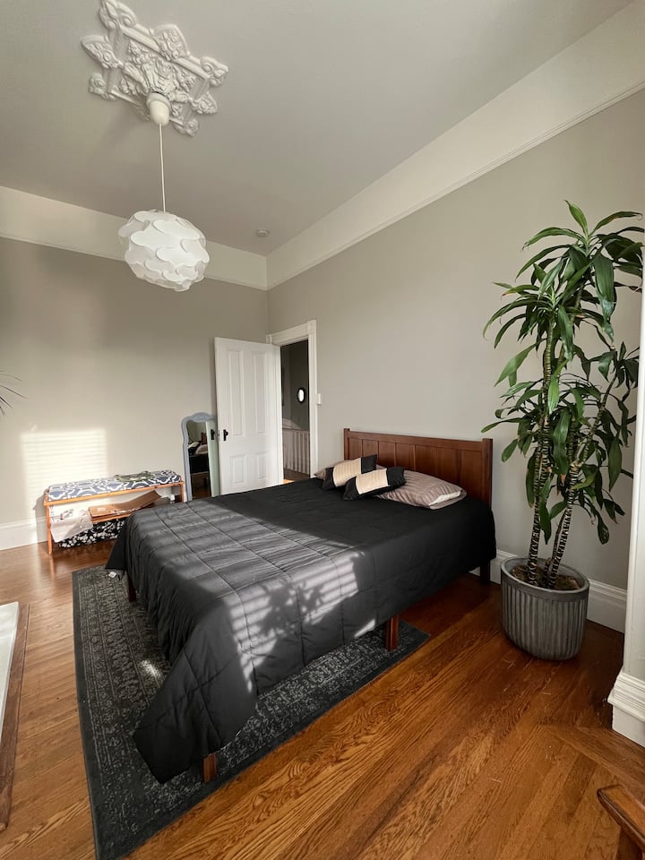 Heart Of Mission Sunny Apartment - San Francisco