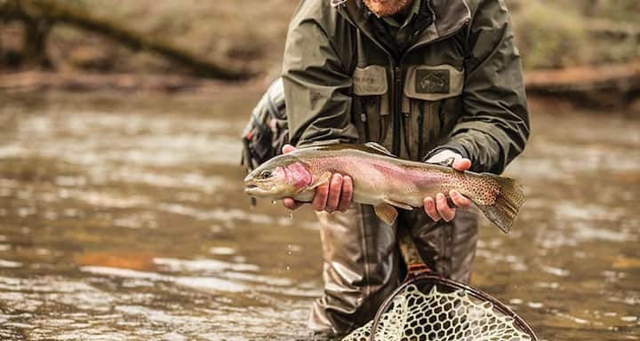 Prime Mountain Fishing 2bd, 2 Ba - Cashiers, NC