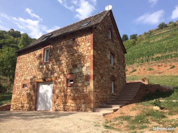 Gîte Au Coeur Des Vignes - Aveyron