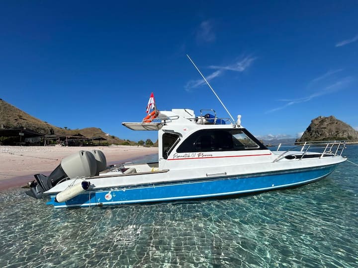 Private Day Charter Fastboat Komodo Trip 6-8 Pax - Labuan Bajo