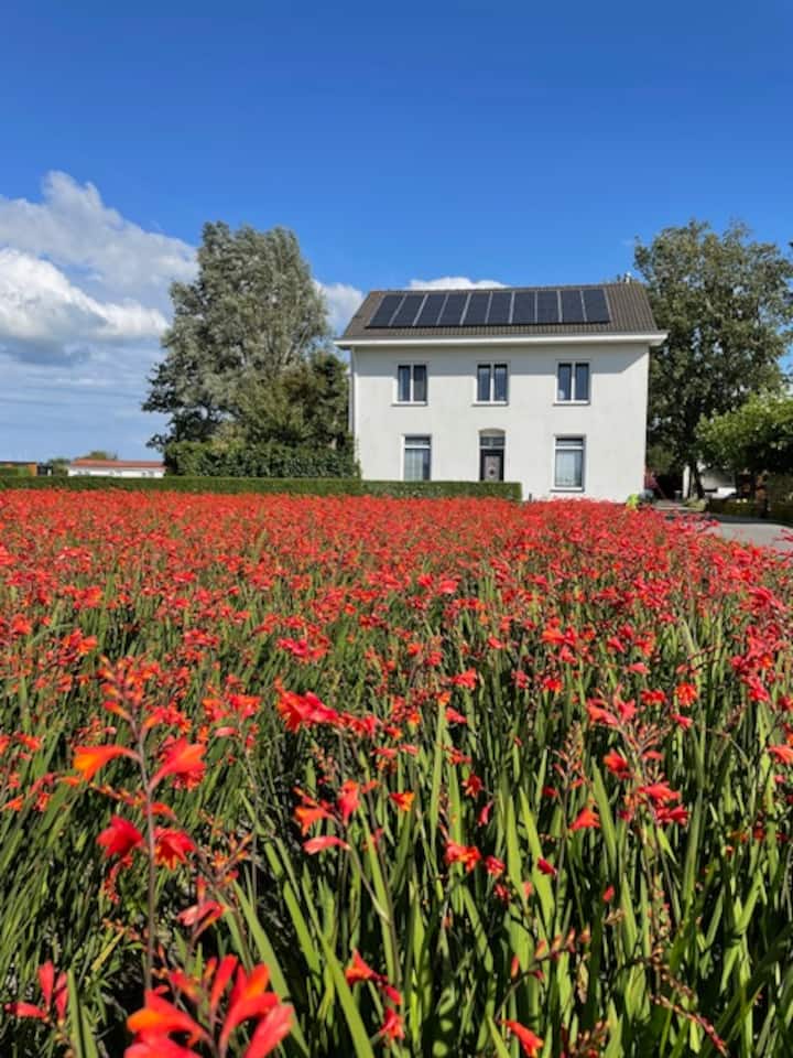 House Near The Lake - Noordwijkerhout