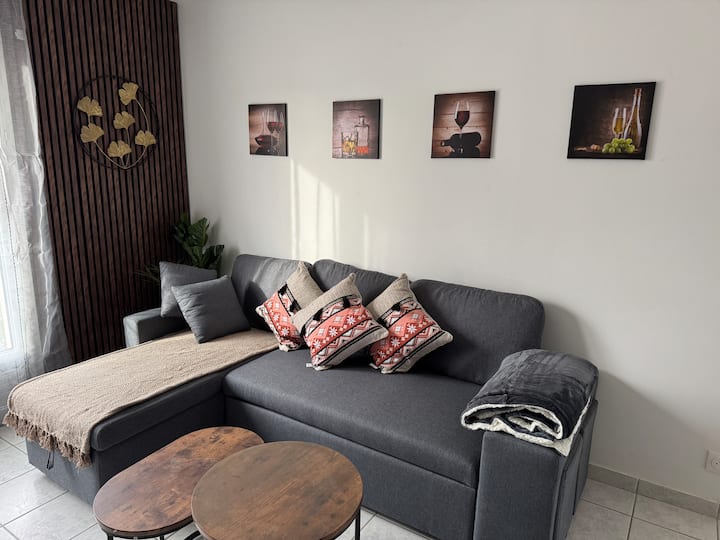 Appartement Moderne/cosy Récent - Plailly
