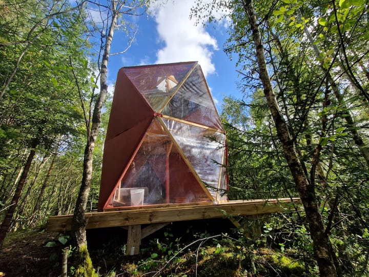 Earthdome - Kinna