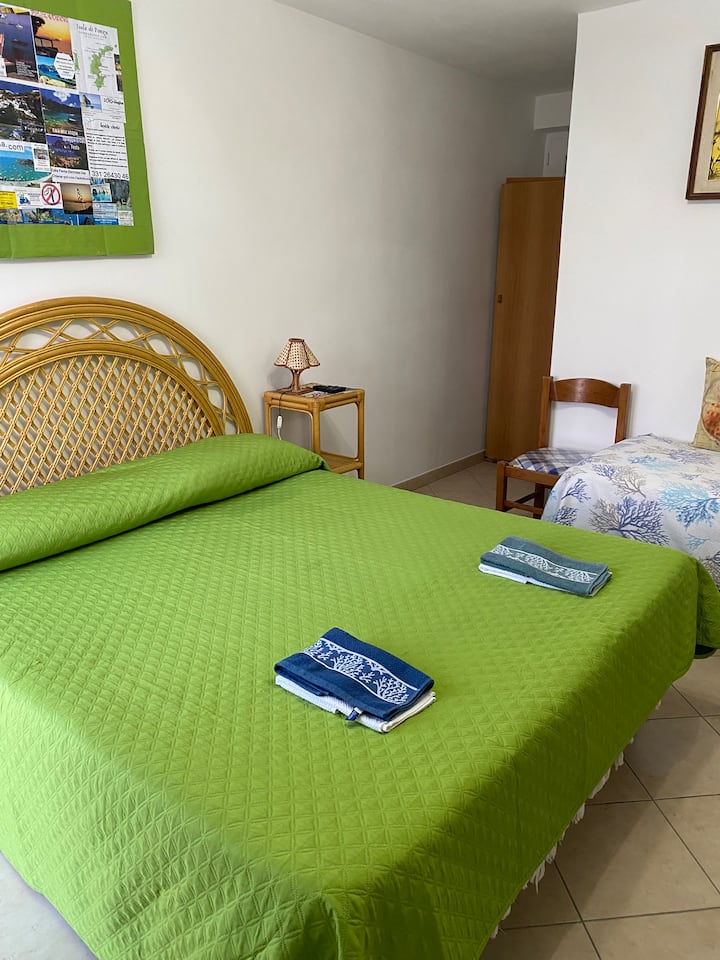 Ponzamania Corallo Verde - Ponza