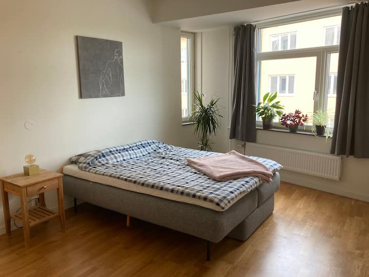 Rum I Lägenhet I Malmö - Malmö