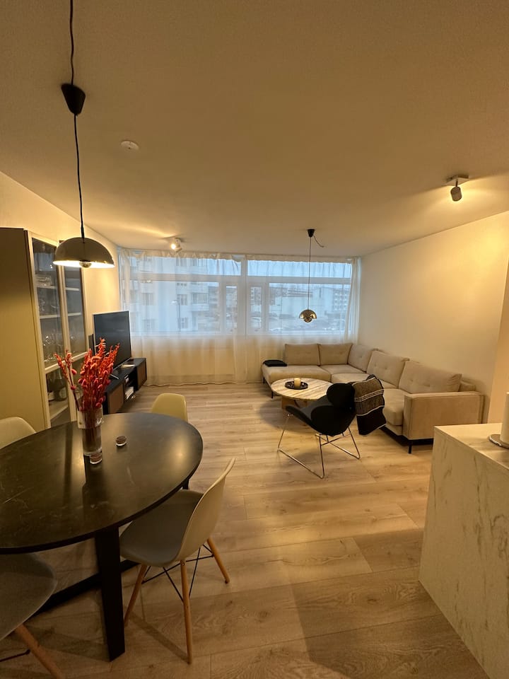 Cozy Central Reykjavik Apartment - Reykjavik