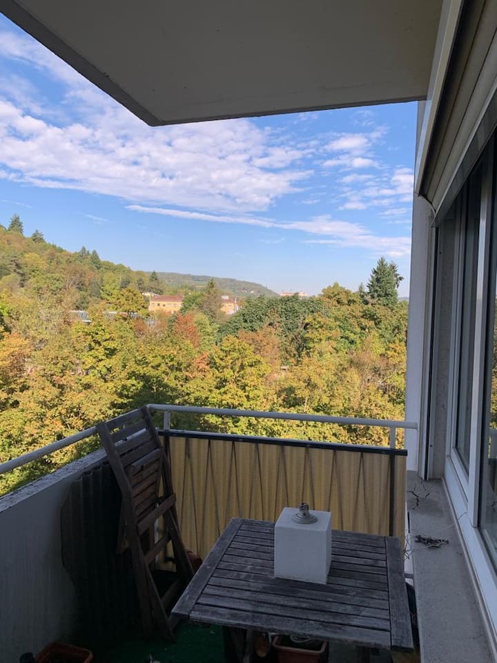 Modern Apartment In Heidingsfeld - 뷔르츠부르크