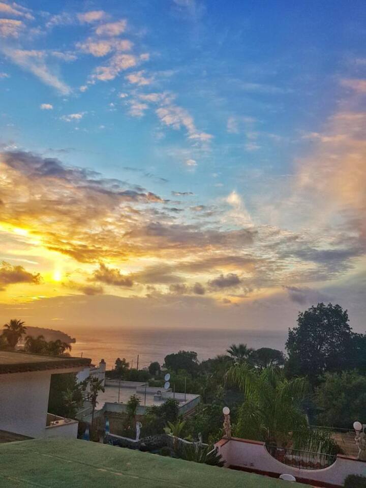 Oasi Di Villa Fiorentina - Ischia