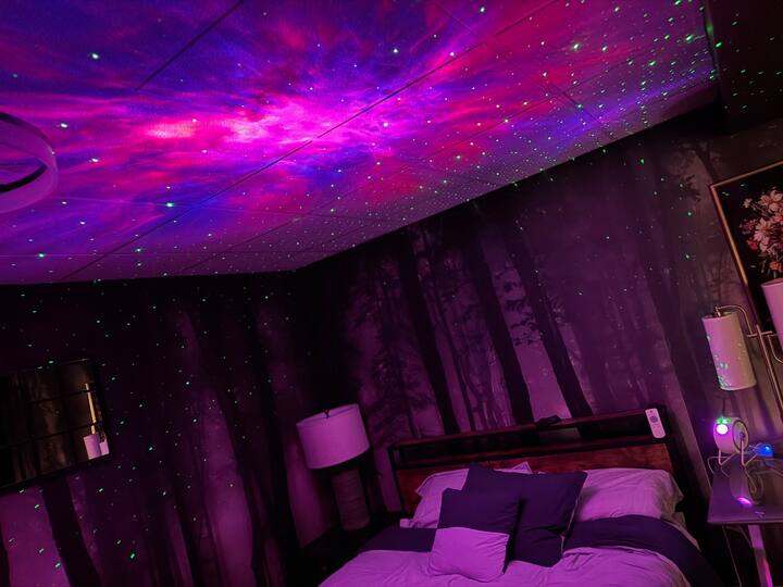 The Starry Enchanted Forest - Lynchburg, VA