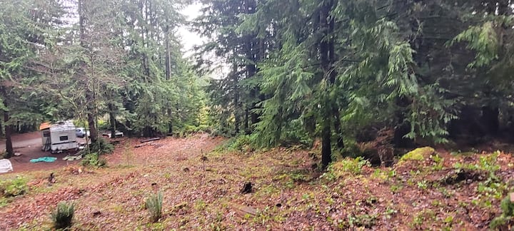Private Tenting Site - Vancouver Island