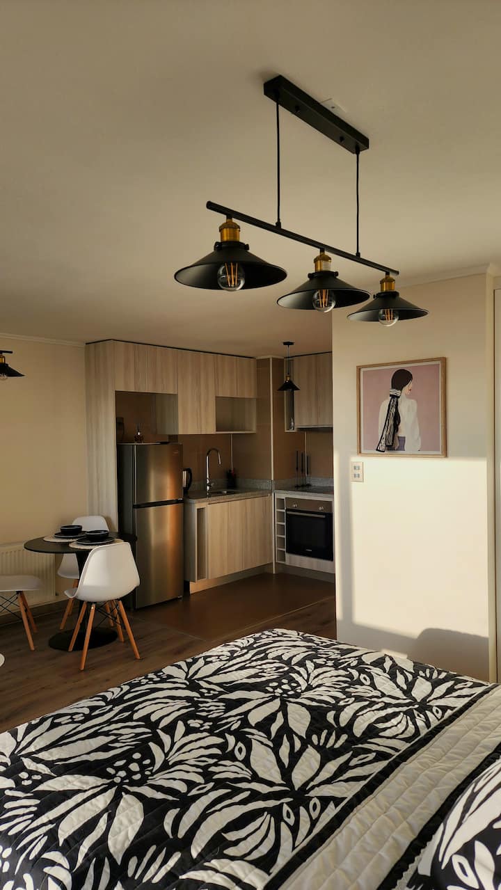 Relájate Con Estilo, Depto, Wifi - Concepción, Chile