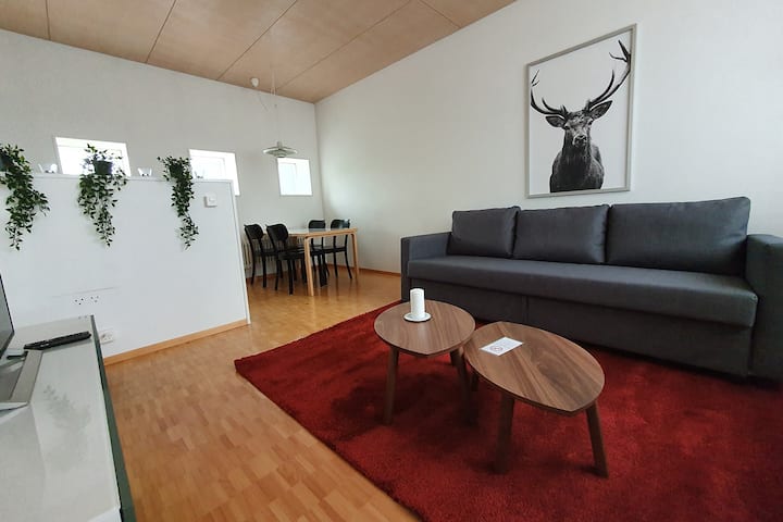 Gemütlich, Zentrale Duplexwohnung Mit Bergpanorama - Lenk