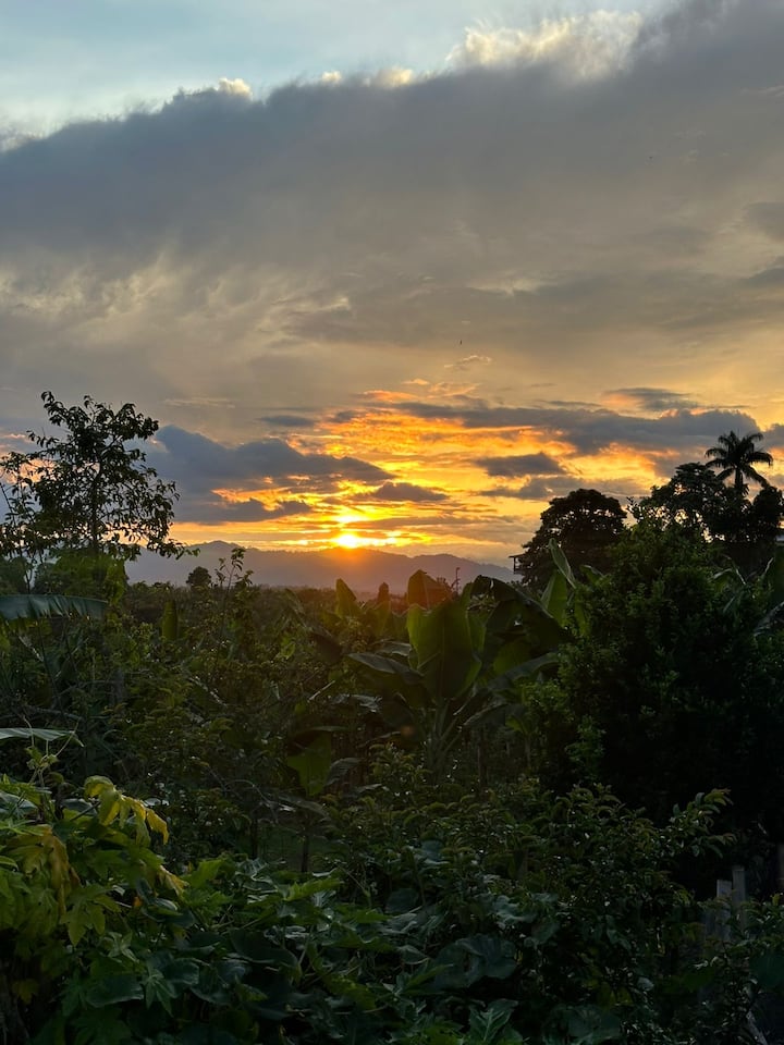 Cozy Coffee Farm Stay With Bird Watching - Alcalá