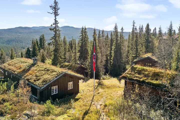 Authentic Cabin Near Rauland - Norway