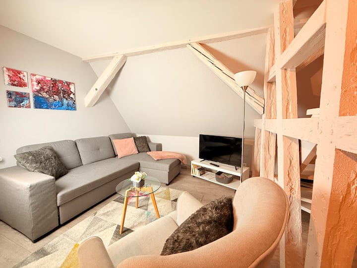 Chic&cosy - Vue Exceptionnelle - Centre Haguenau - Haguenau