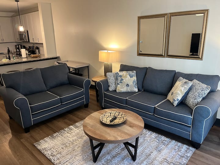 Spacious Uptown 1br/1ba Center City Location - Charlotte, NC