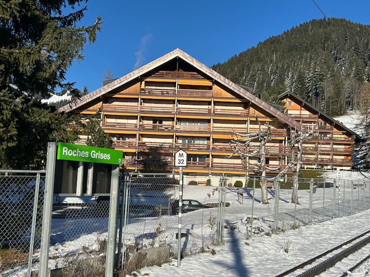 Central Flat For Two. Ski, Hike &Bike - Villars-sur-Ollon