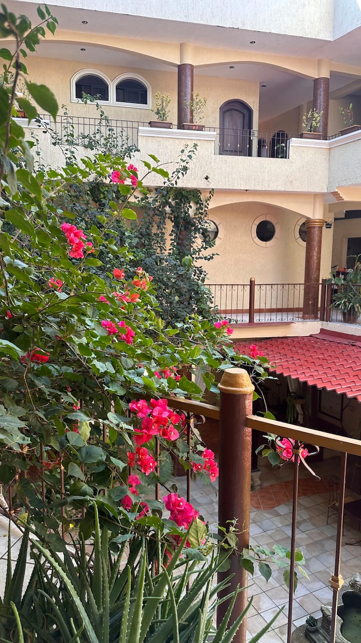 Apartamento Quinta Maya - San Benito